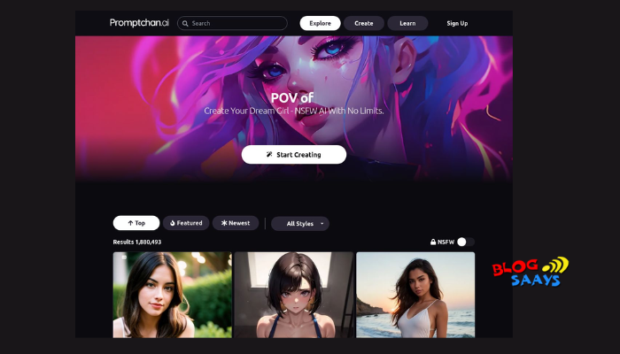 5 Best NSFW AI Image Generator Tools & NSFW PROMPTS? - BlogSaays